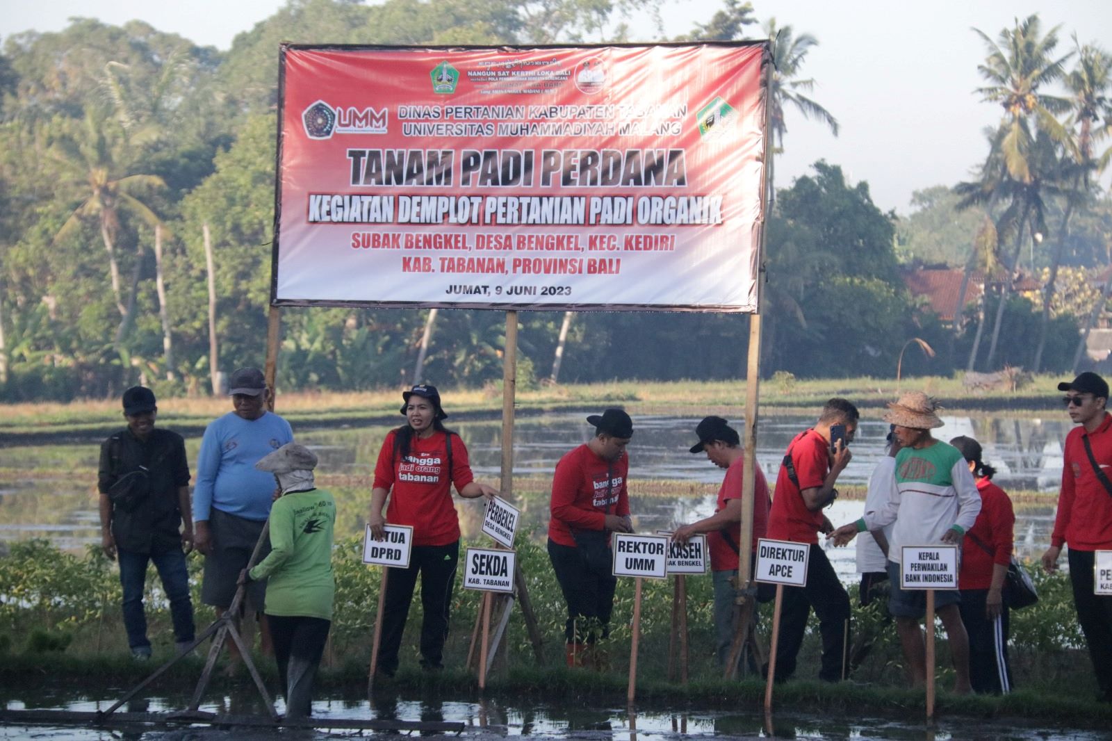 Tanam Perdana Demplot Padi Organik di Tabanan - baliilu.com
