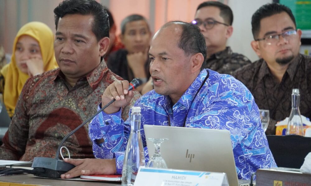 PLN Siap Bangun Pembangkit Listrik Berbasis Energi Terbarukan - baliilu.com